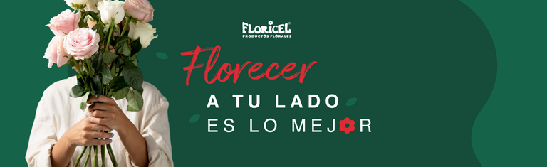 Floricelonline